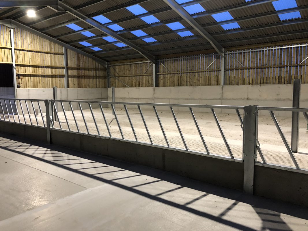 Heavy Duty Cattle Feed Barrier / Fence - Gst Fabrication