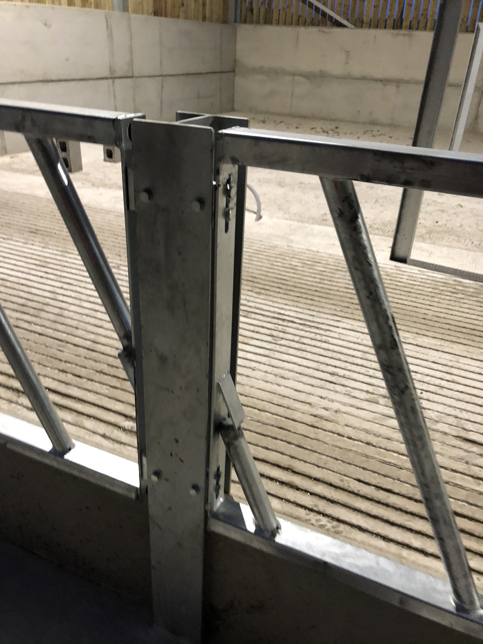 Heavy Duty Cattle Feed Barrier / Fence - Gst Fabrication