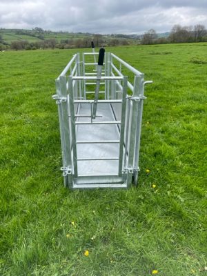 Sheep Race Joiner with Internal Gate - GST Fabrication